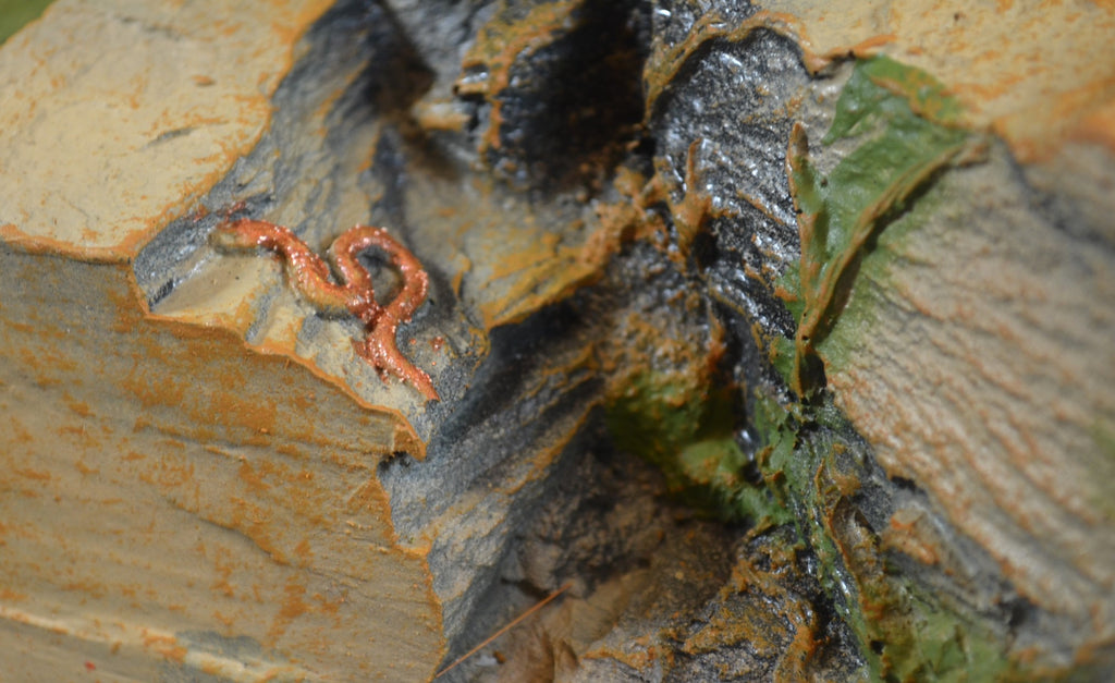 LOD Barzso Painted Treasure Island Ben Gunn's Cave/Rock Formation ...