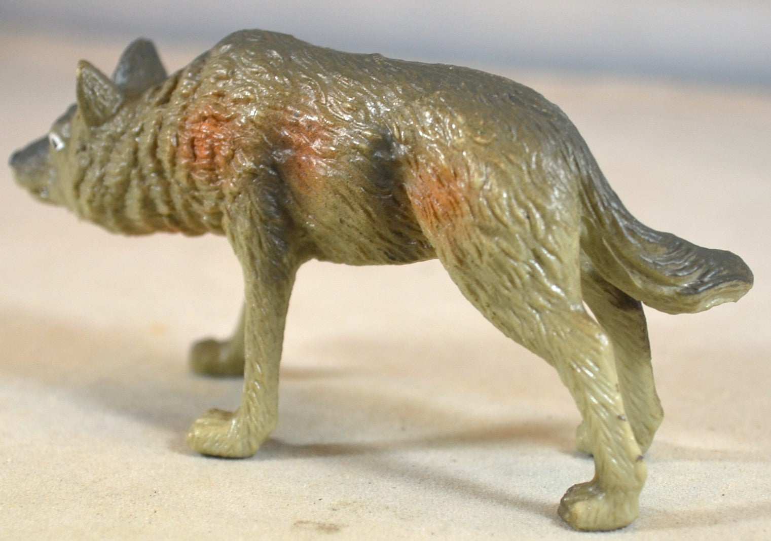 Painted Gray Timber Wolf Forest Plains – MicShaun's Closet