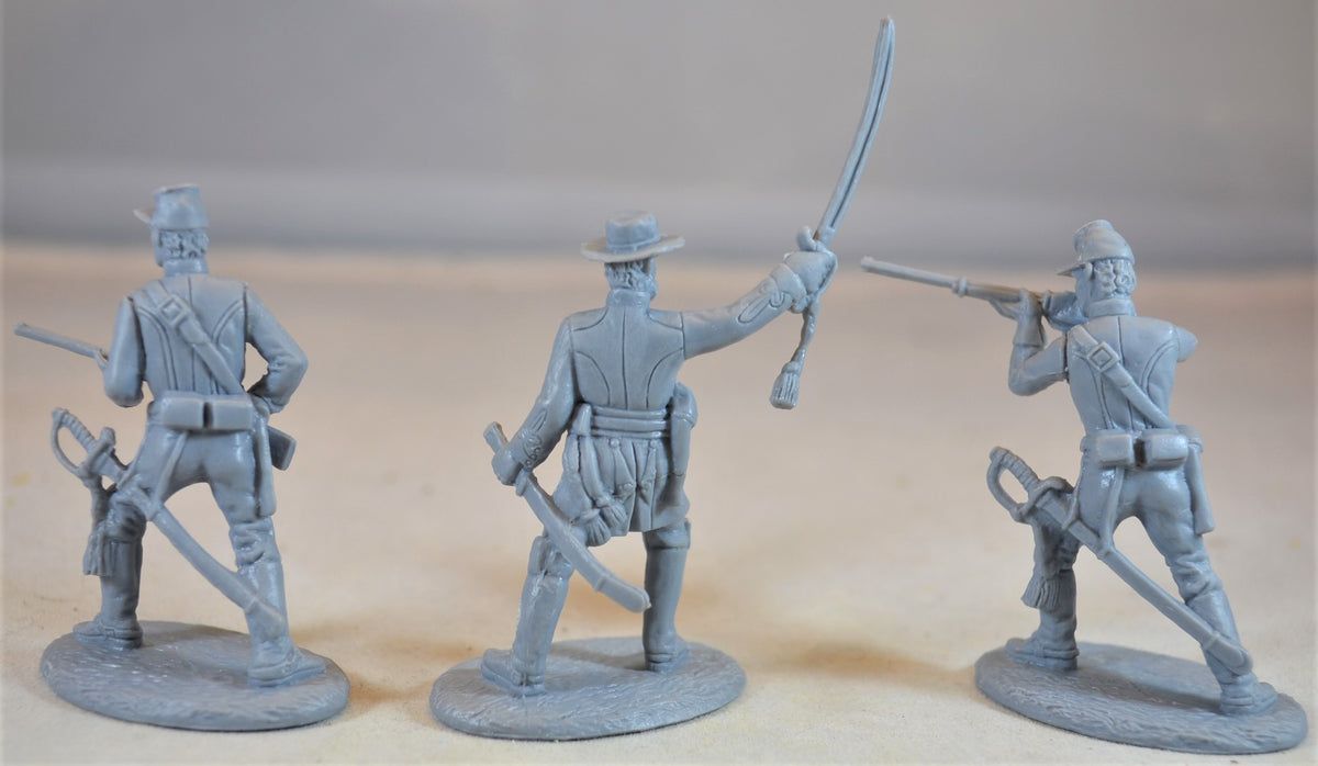 Expeditionary Force American Civil War Confederate Dragoons Dismounted ...